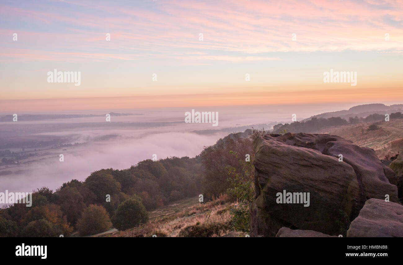 Chevin grat -Fotos und -Bildmaterial in hoher Auflösung – Alamy