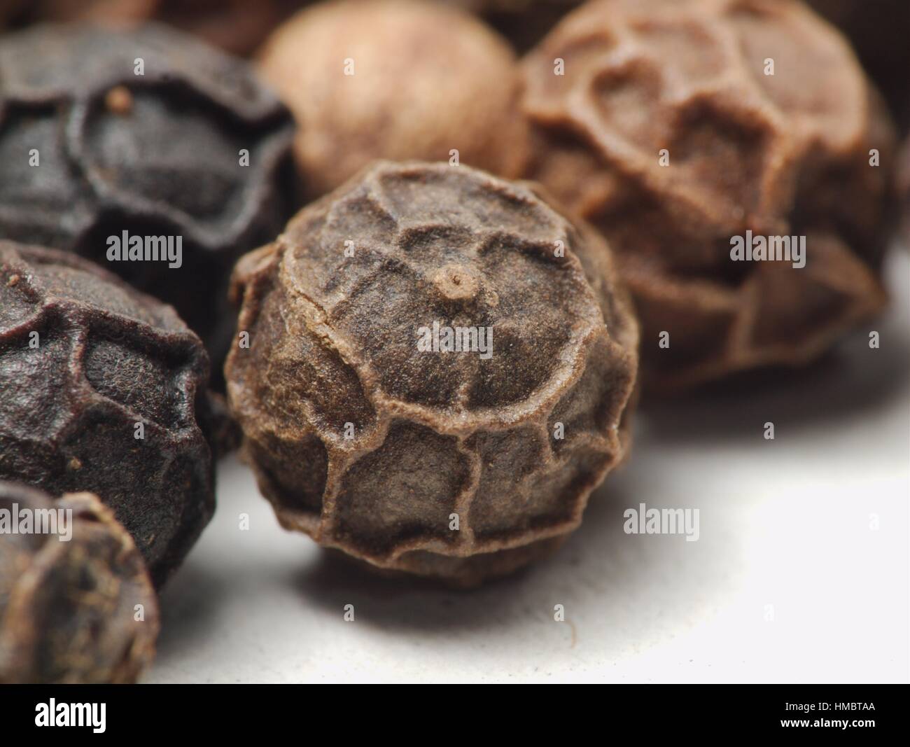 Schwarze pfefferpflanze -Fotos und -Bildmaterial in hoher Auflösung – Alamy