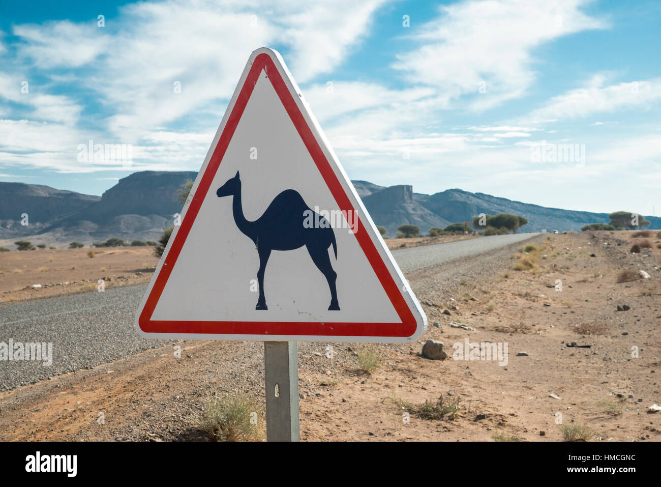 Road Sign Warning Camels Crossing Stockfotos und -bilder Kaufen - Alamy