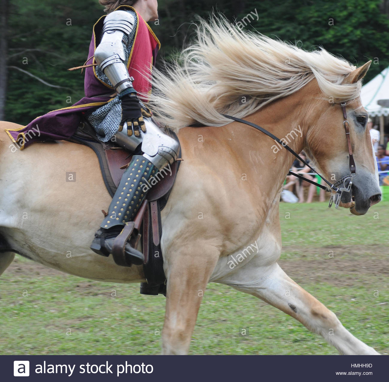 Renaissance Knight Stockfotos & Renaissance Knight Bilder - Alamy
