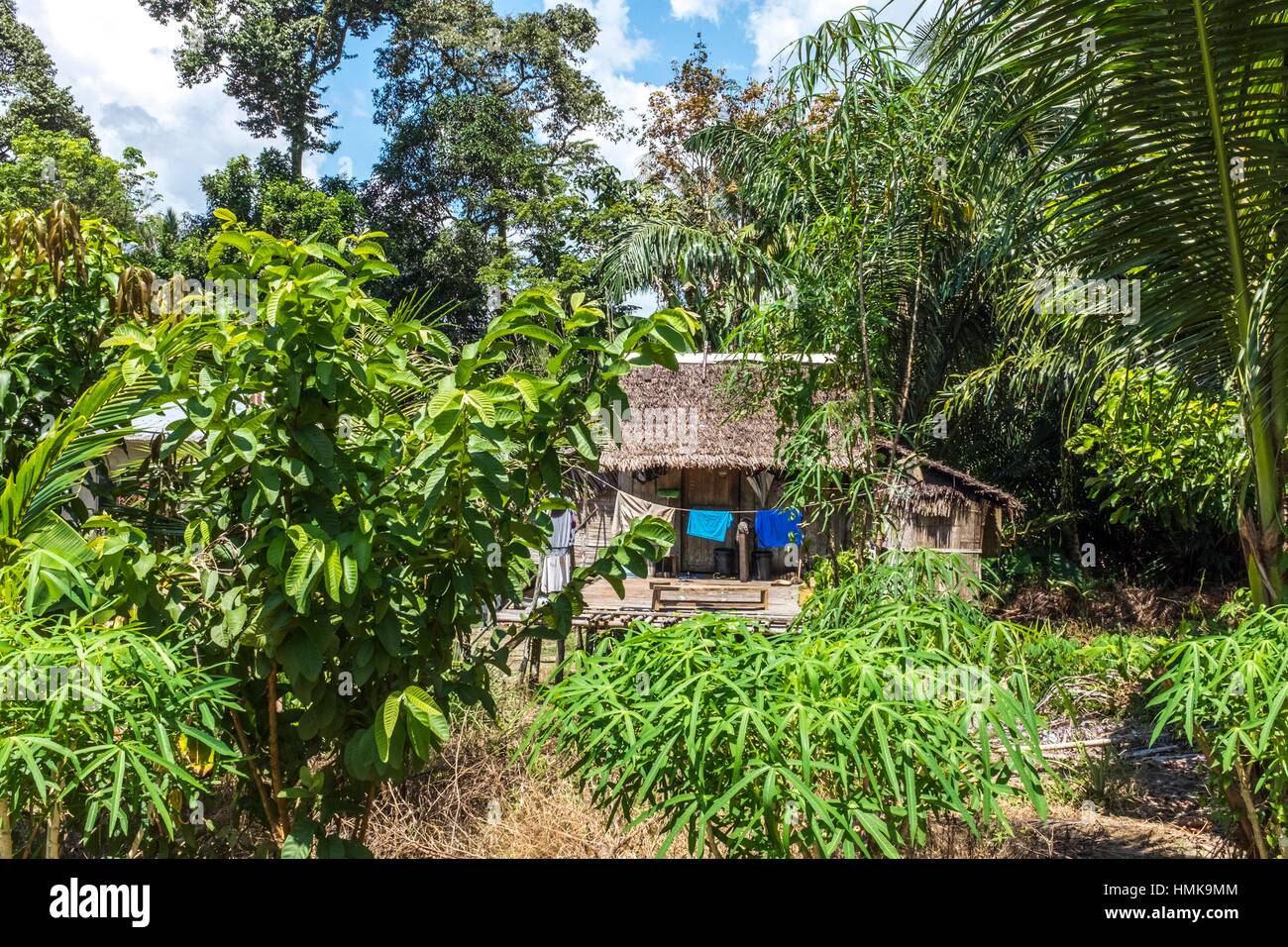 A land Dayak (Bidayuh) Holzhaus in Kampong Gumbang, Bau, Sarawak ...