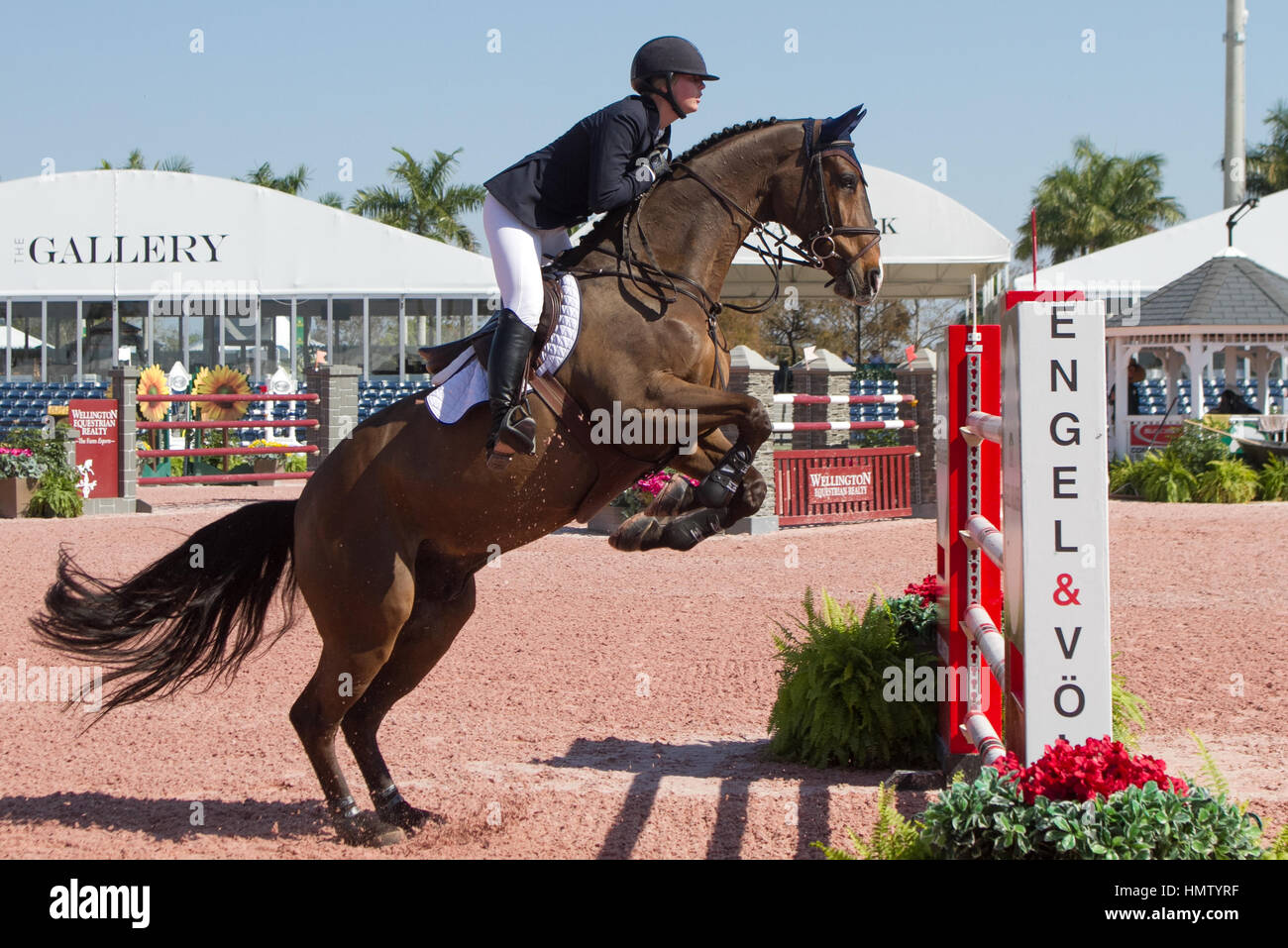 Audrey schar -Fotos und -Bildmaterial in hoher Auflösung – Alamy