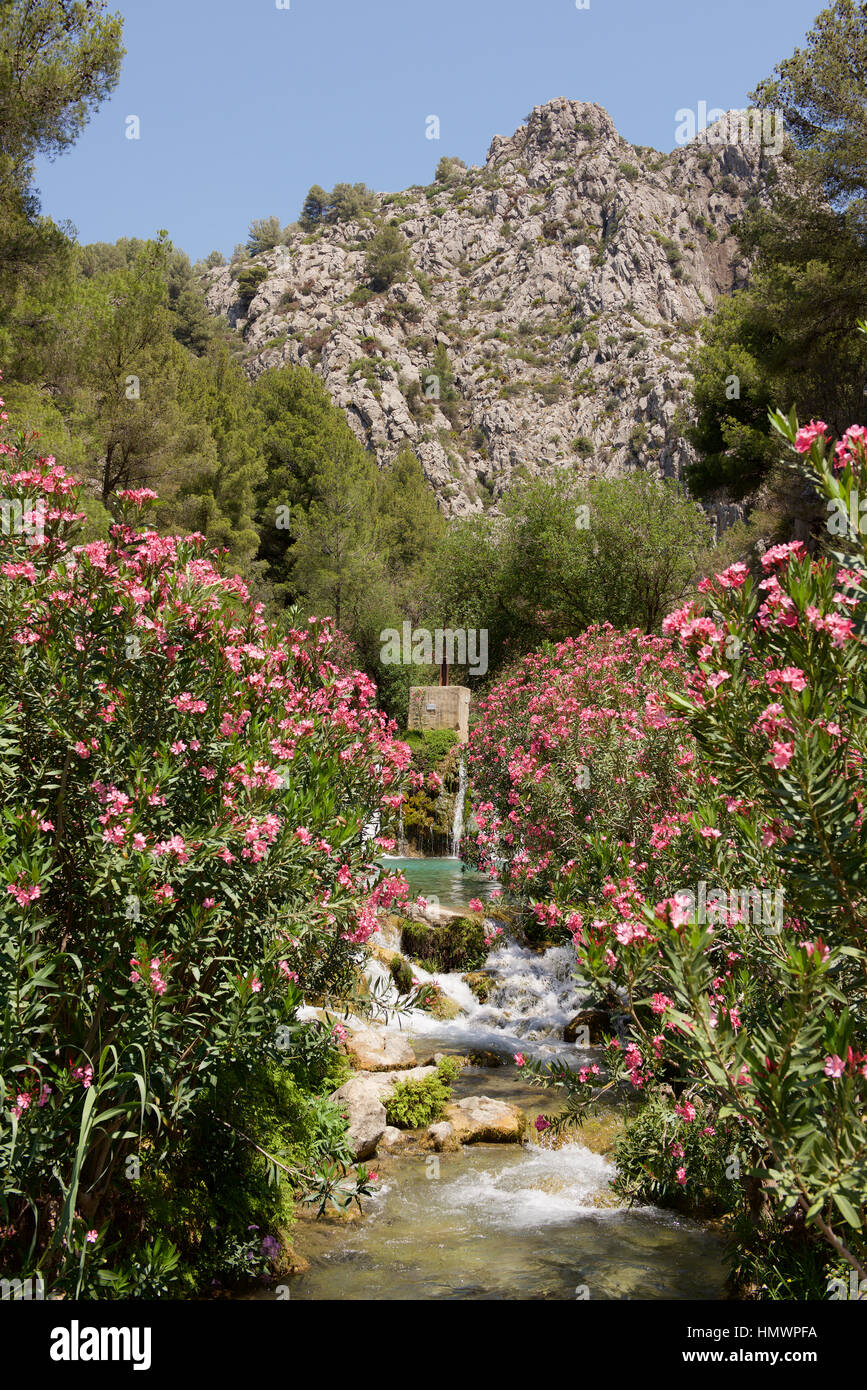 Die fuentes del algar -Fotos und -Bildmaterial in hoher Auflösung – Alamy