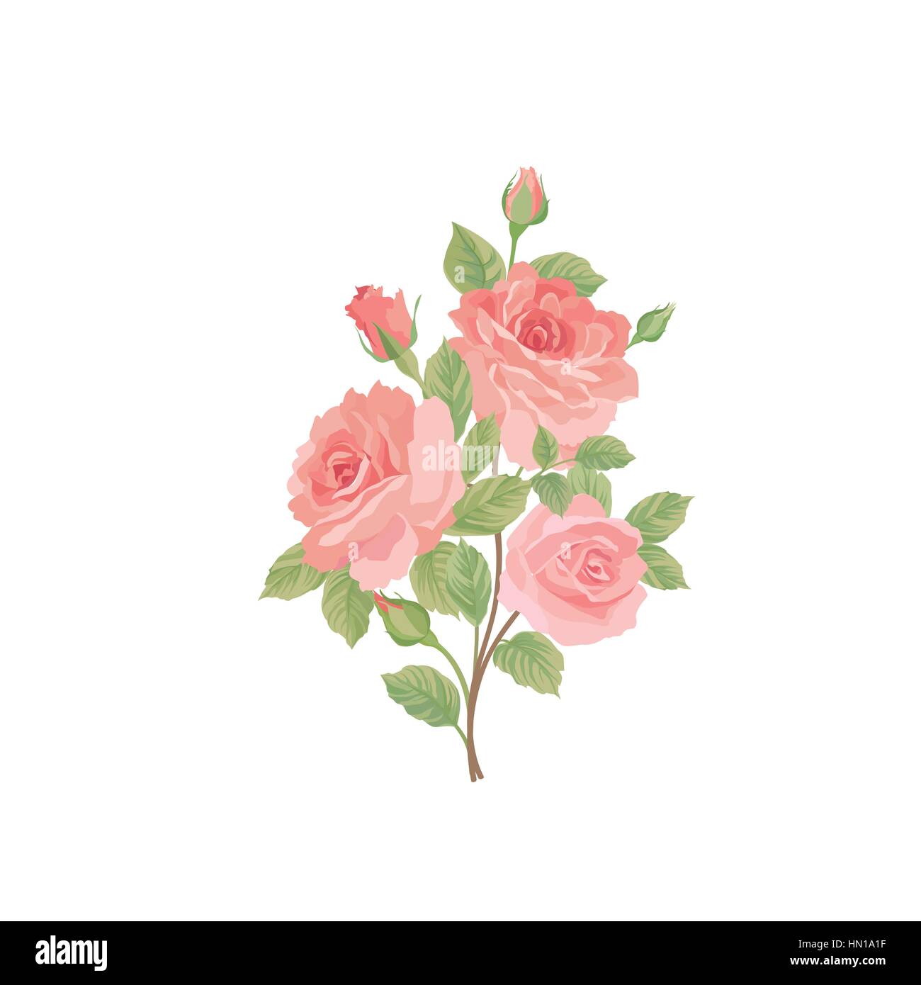 Rosen ranke zeichnung Stock-Vektorgrafiken kaufen - Alamy