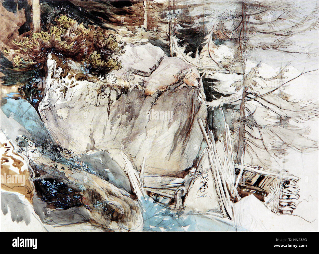 Alpenrose Zeichnung Stockfotos und -bilder Kaufen - Alamy