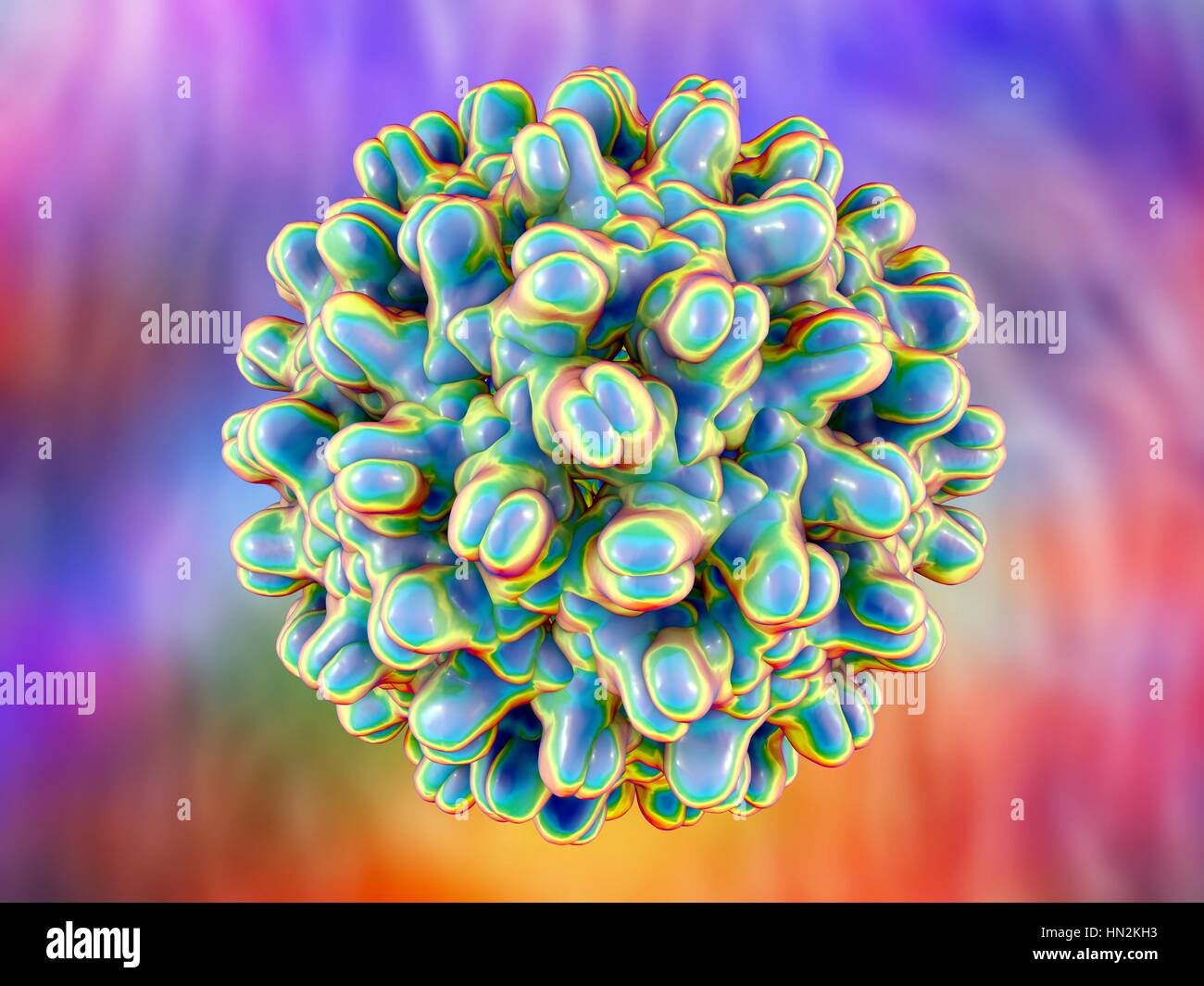 Hepatitis B-Virus-Partikel. Computer Illustration das Kapsid des ...