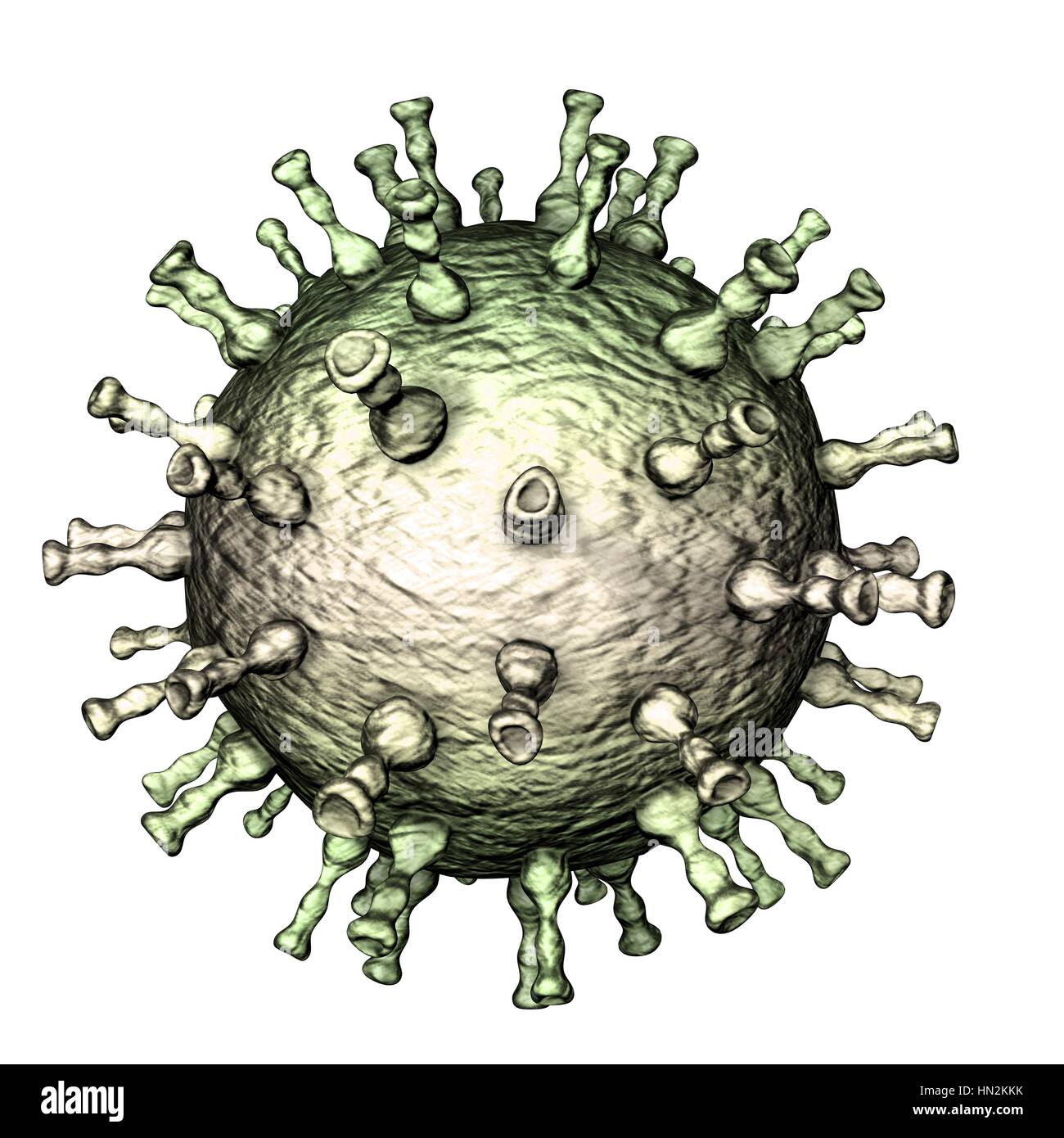 Computer Illustration ein Varizellen Zoster Virus-Partikel, die Ursache ...