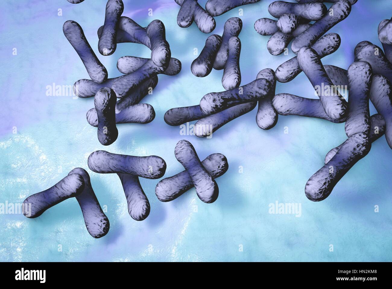 Bakterien diphtherie -Fotos und -Bildmaterial in hoher Auflösung – Alamy