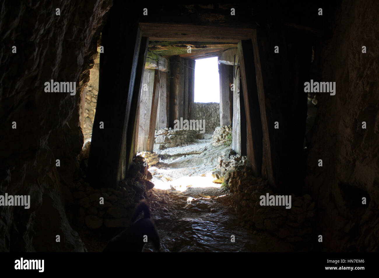 Erster weltkrieg panzer -Fotos und -Bildmaterial in hoher Auflösung – Alamy