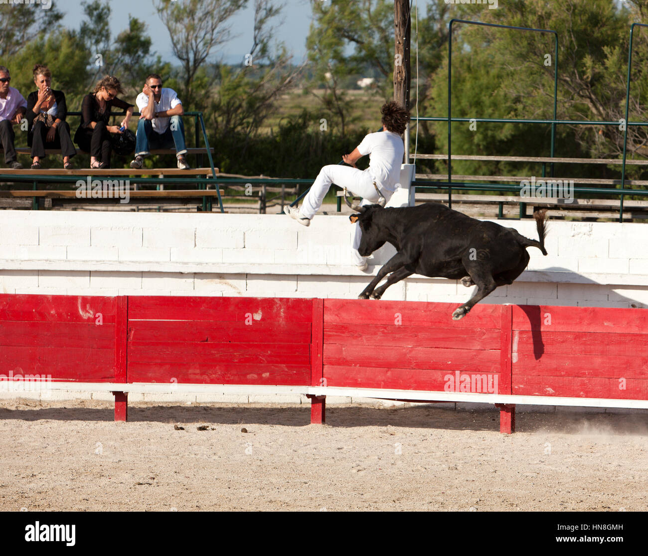 Unblutiger stierkampf -Fotos und -Bildmaterial in hoher Auflösung – Alamy
