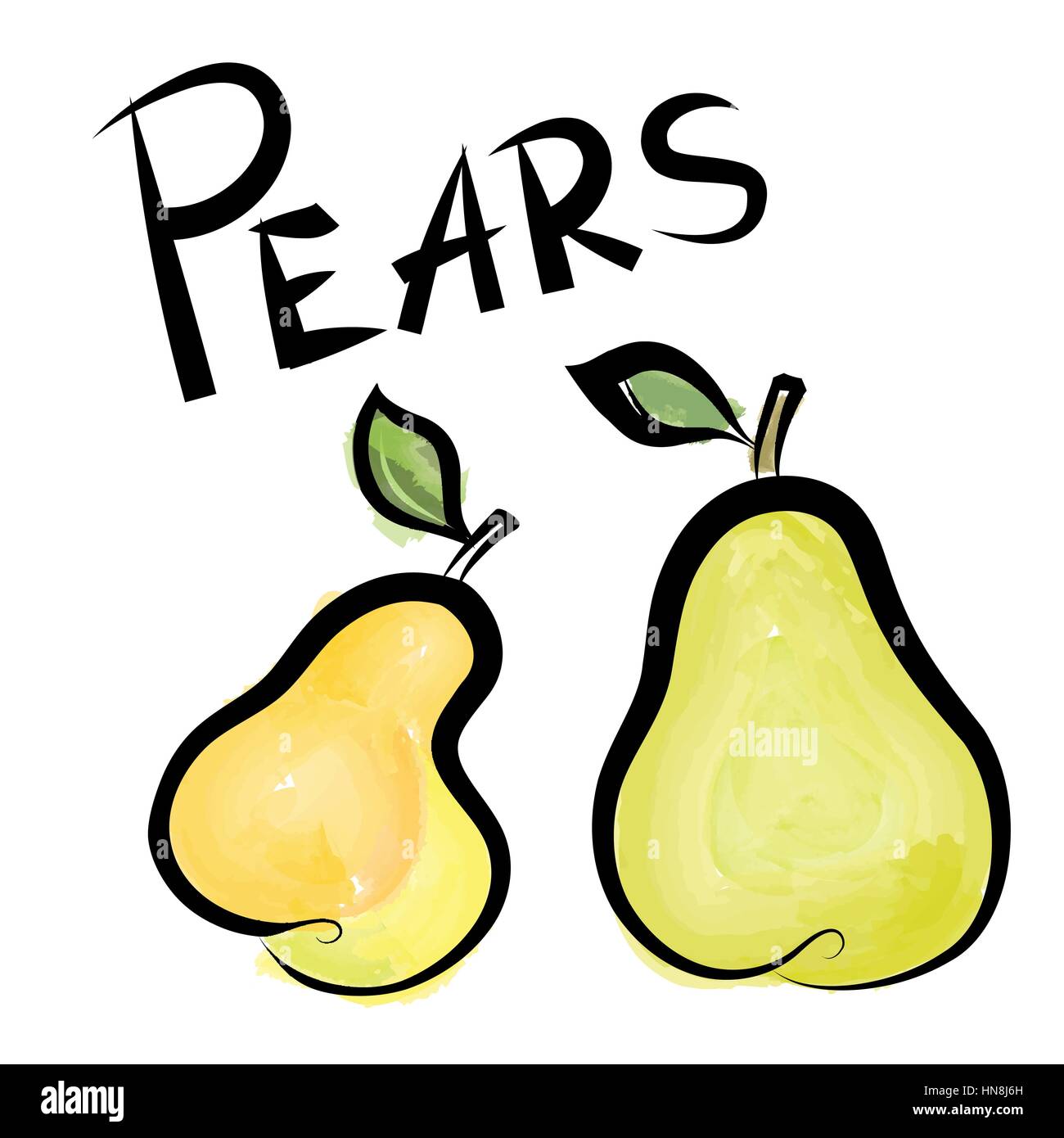 Birnen isoliert. Birne Obst label. Hand gezeichnet Aquarell. Vector ...