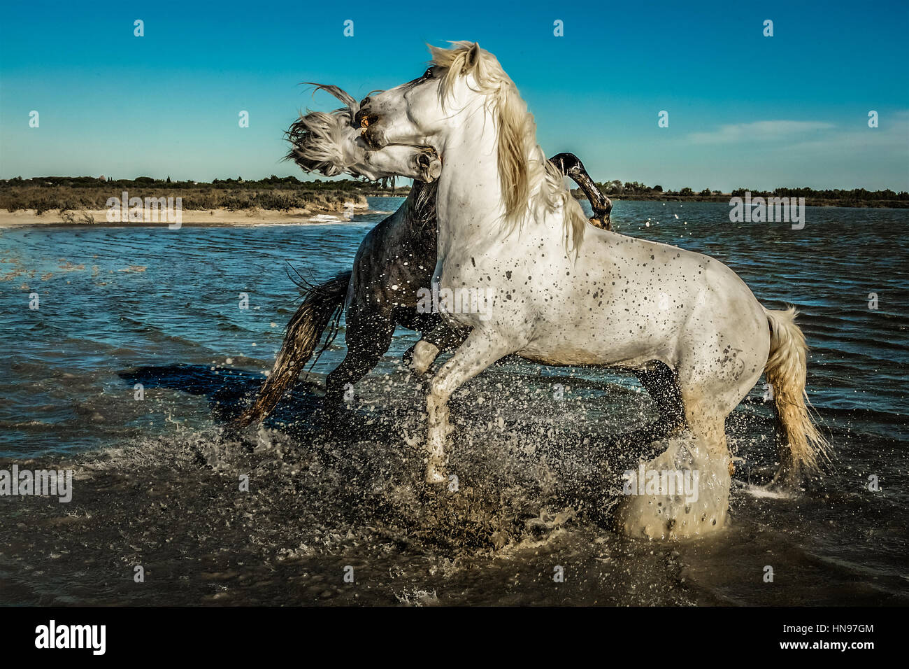 Chevaline mord Stockfotos und -bilder Kaufen - Alamy