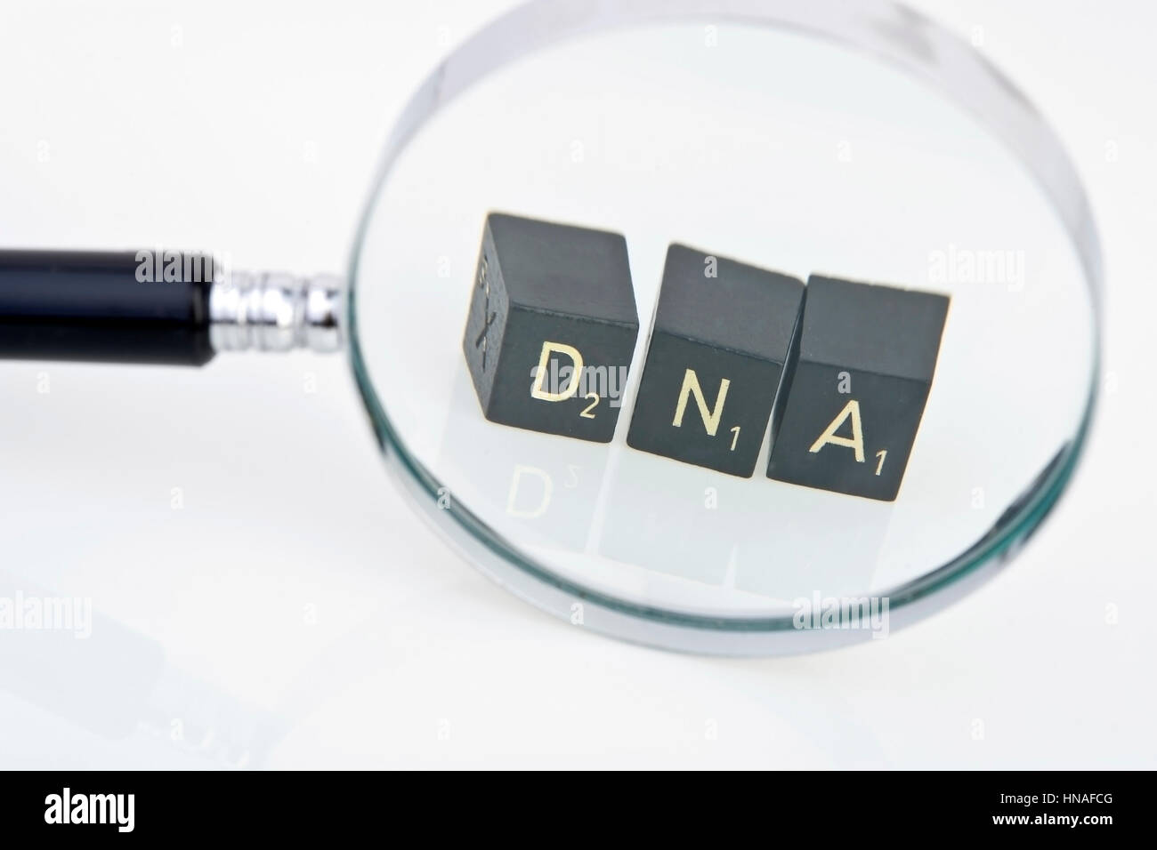 Symbolbild DNA Unter der Lupe - symbolisch für DNA unter der Lupe ...