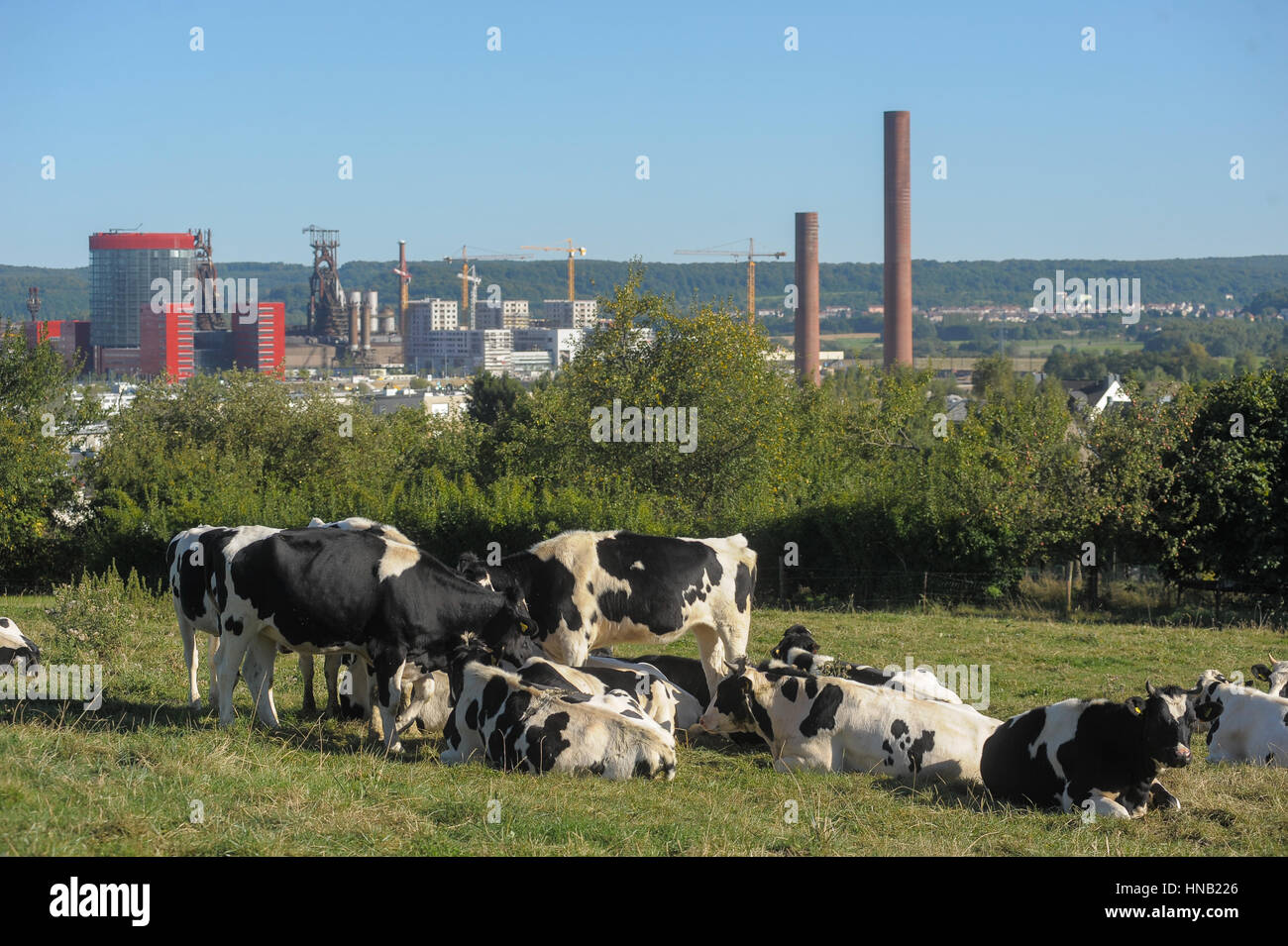 Esch-Sur-Alzette, Belval, Luxemburg Blick auf das neue Projekt Stadt ...