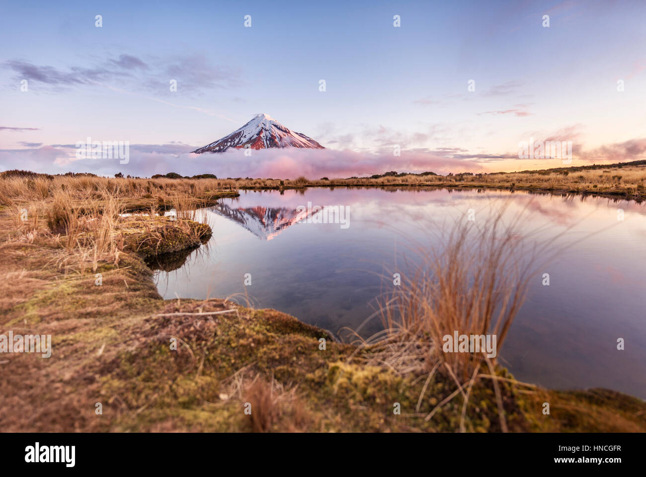 Spiegelbild im See, rosa Wolken Stratovulkan Mount Taranaki oder Mount ...