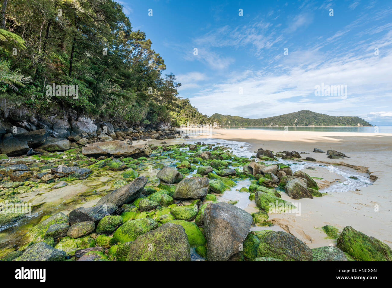 Nationalpark Neuseeland Stockfotos und -bilder Kaufen - Alamy