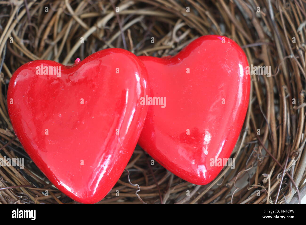 Two hearts in nest -Fotos und -Bildmaterial in hoher Auflösung – Alamy