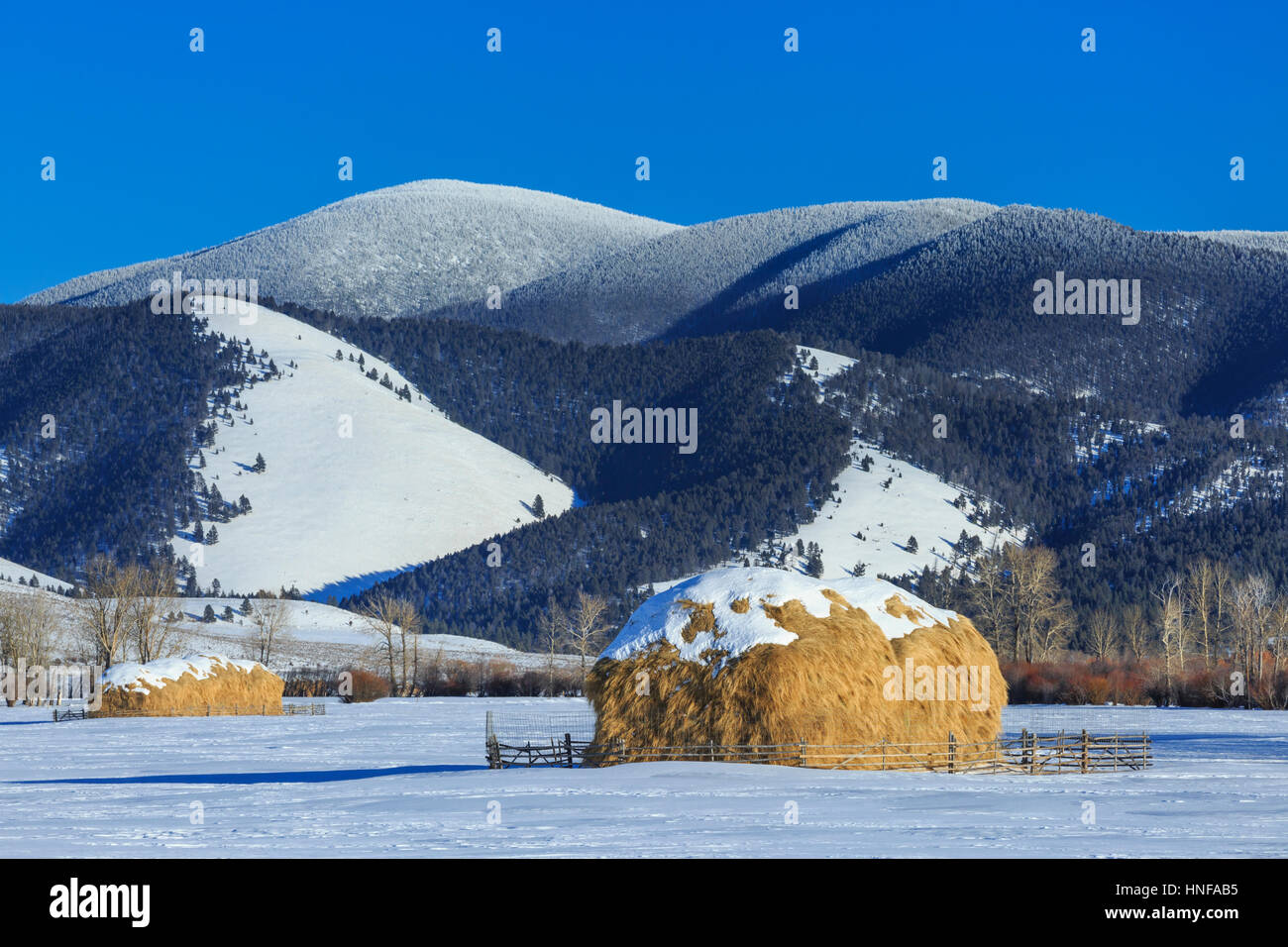 Heuhaufen im Winter unter Nevada Berg entlang der kontinentalen ...