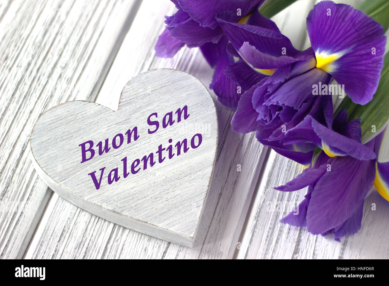 Stillleben Mit Herz Zeichen Iris Blumen Auf Wei em Hintergrund Aus Holz Hochzeit Valentinstag stillleben-mit-herz-zeichen-iris-blumen-auf-wei-em-hintergrund-aus-holz-hochzeit-valentinstag