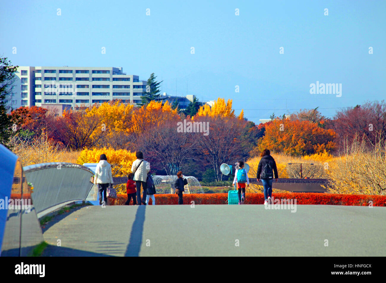 Showa Memorial Park Tachikawa Stadt Tokio Japan Stockfotografie - Alamy