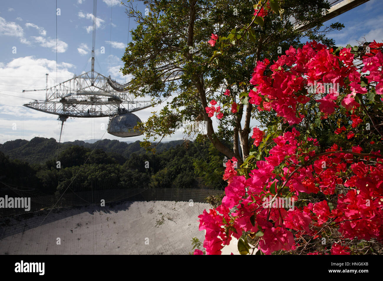 Arecibo observatory puerto rico -Fotos und -Bildmaterial in hoher ...