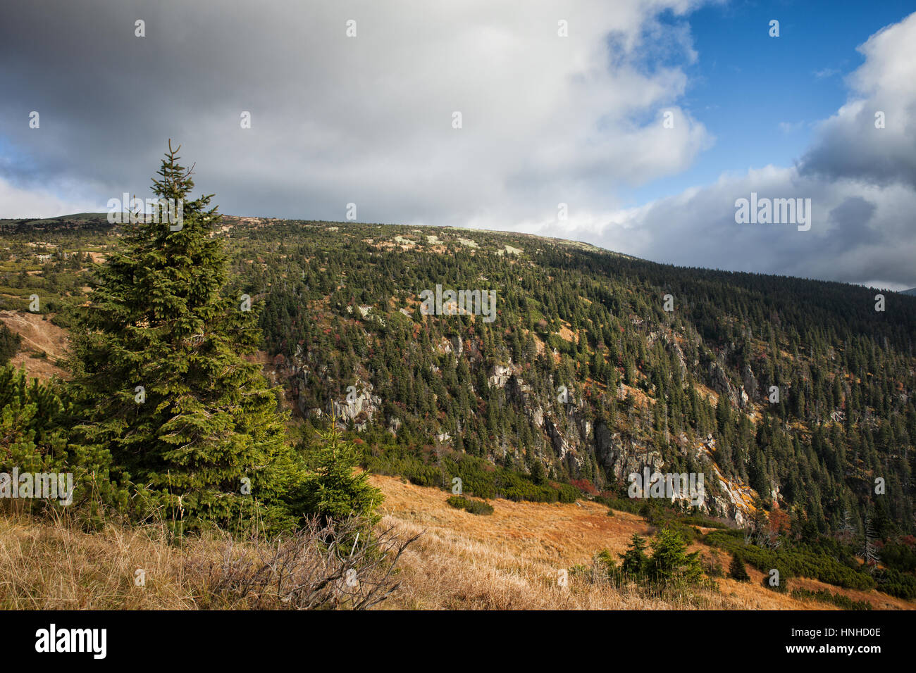 Riesengebirge (Karkonosze) Berge Landschaft, Sudeten, Polen und ...