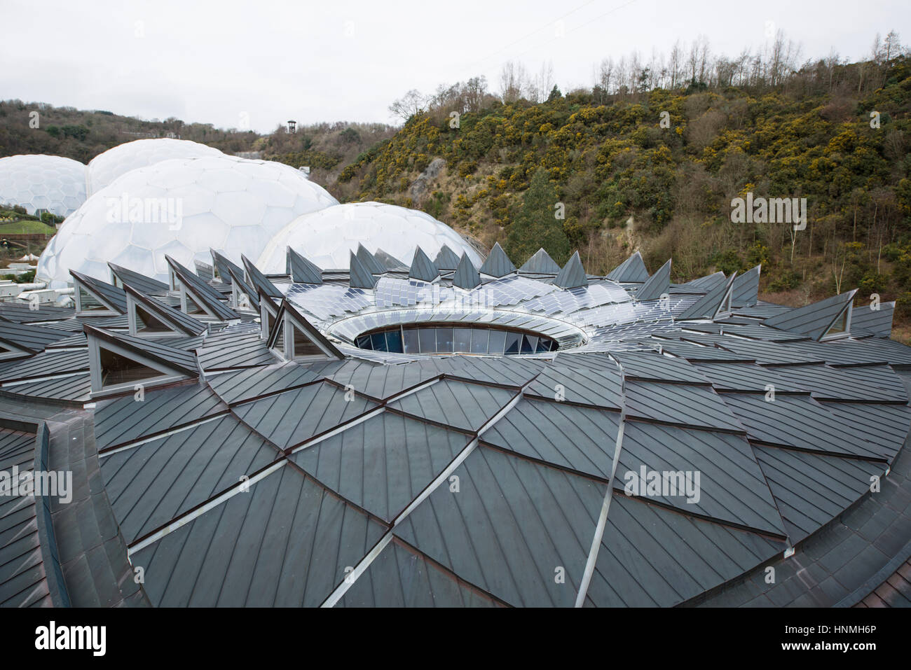 Biome biome -Fotos und -Bildmaterial in hoher Auflösung – Alamy