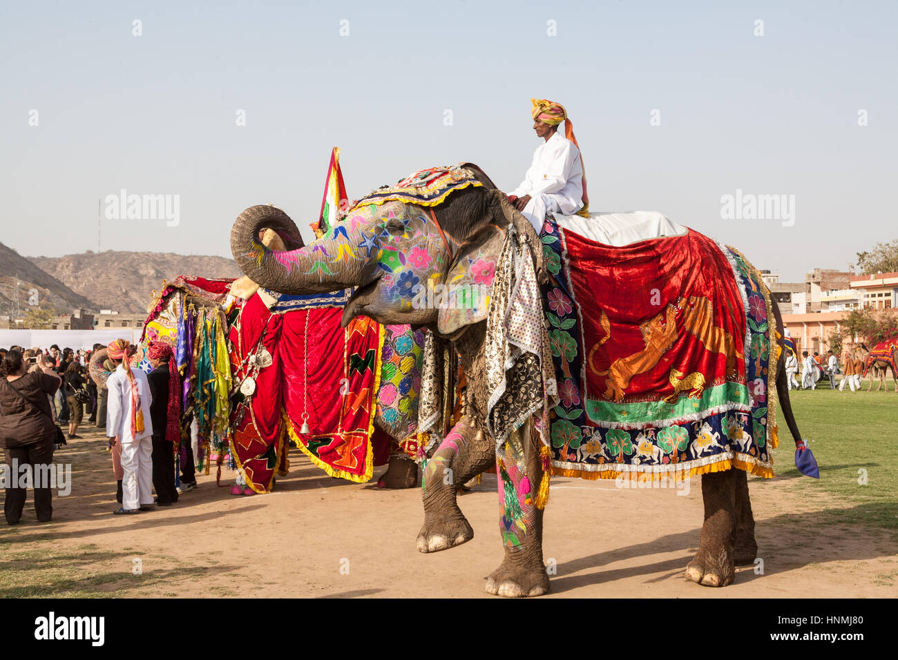 Touristen, Volksmusik, Tanz Painted, dekoriert, Elefanten, bei Holi ...