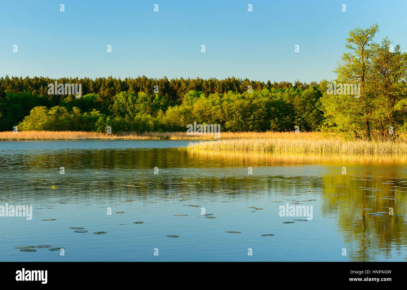 Lago templin -Fotos und -Bildmaterial in hoher Auflösung – Alamy