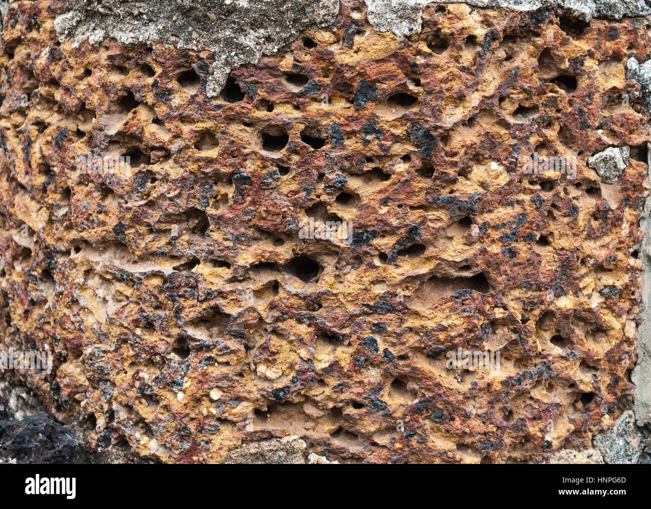 Old laterite stone wall -Fotos und -Bildmaterial in hoher Auflösung – Alamy