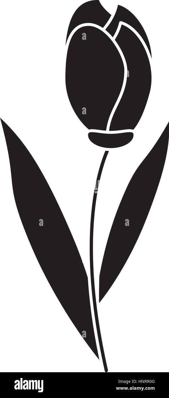 Daisy floral garden spring pictogram Stock-Vektorgrafiken kaufen - Alamy