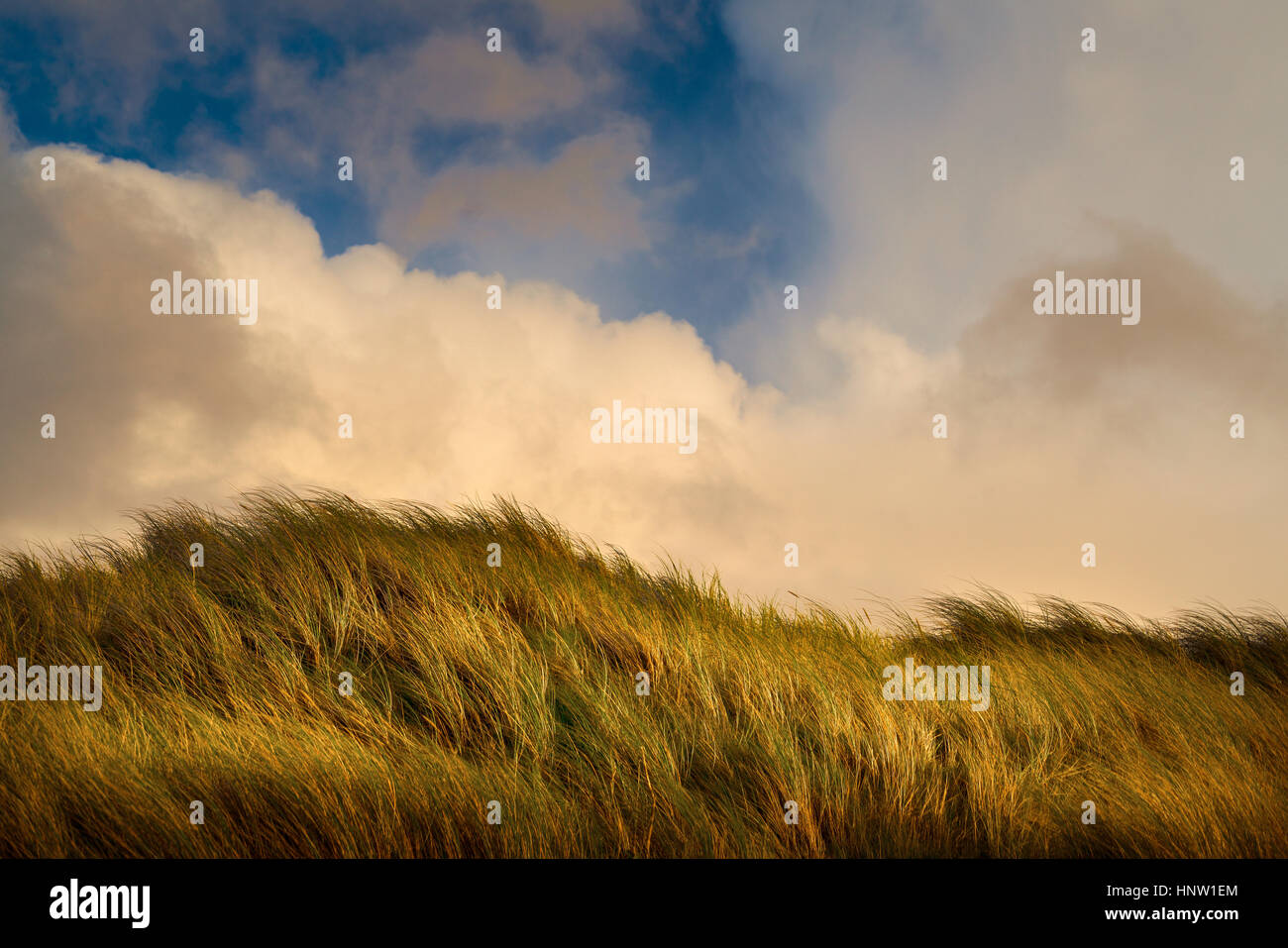 Wolke bläst wind -Fotos und -Bildmaterial in hoher Auflösung – Alamy
