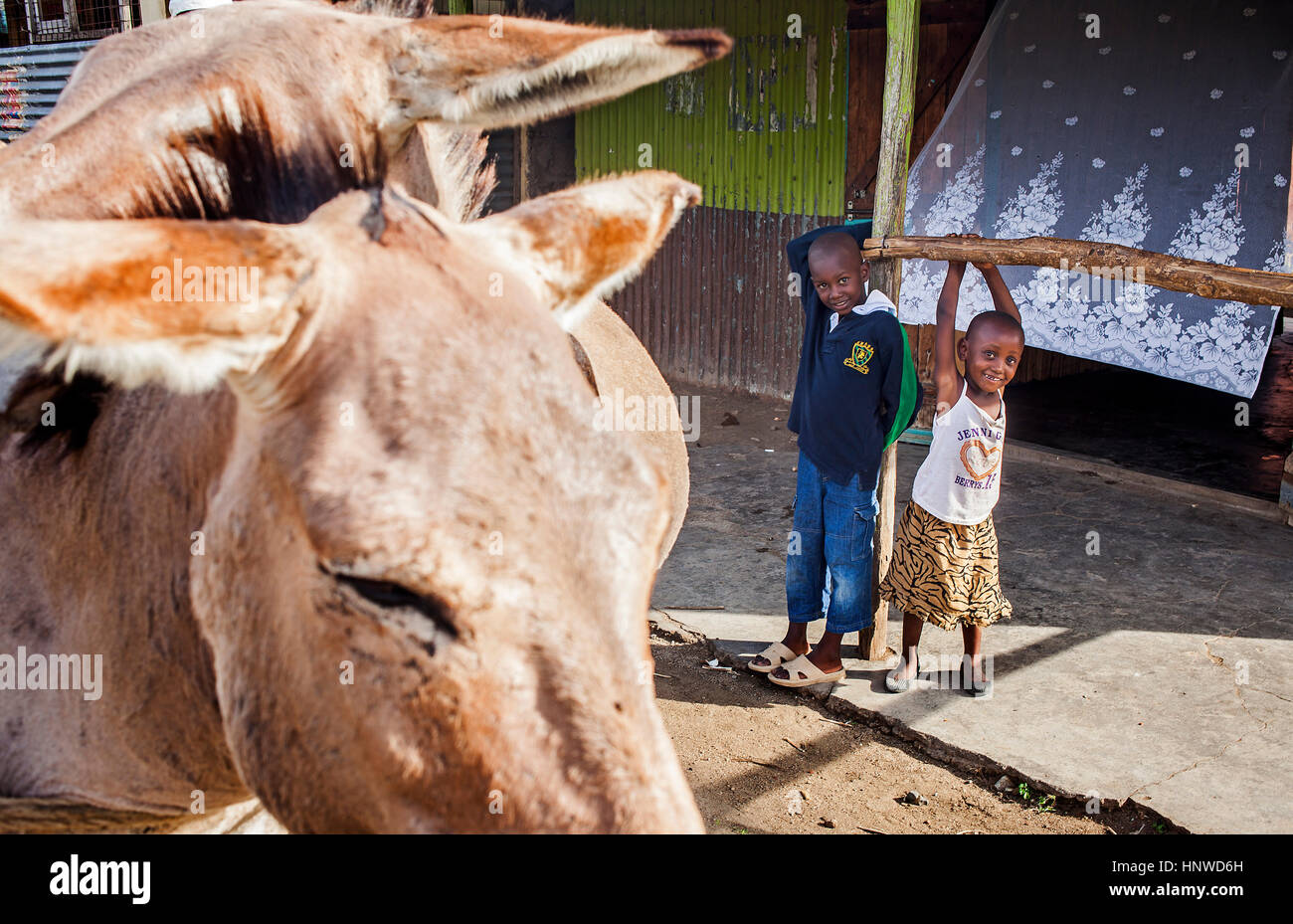 Kinder, in der Fischerei Dorf von Kolunga, Rusinga Island, Victoria-See ...