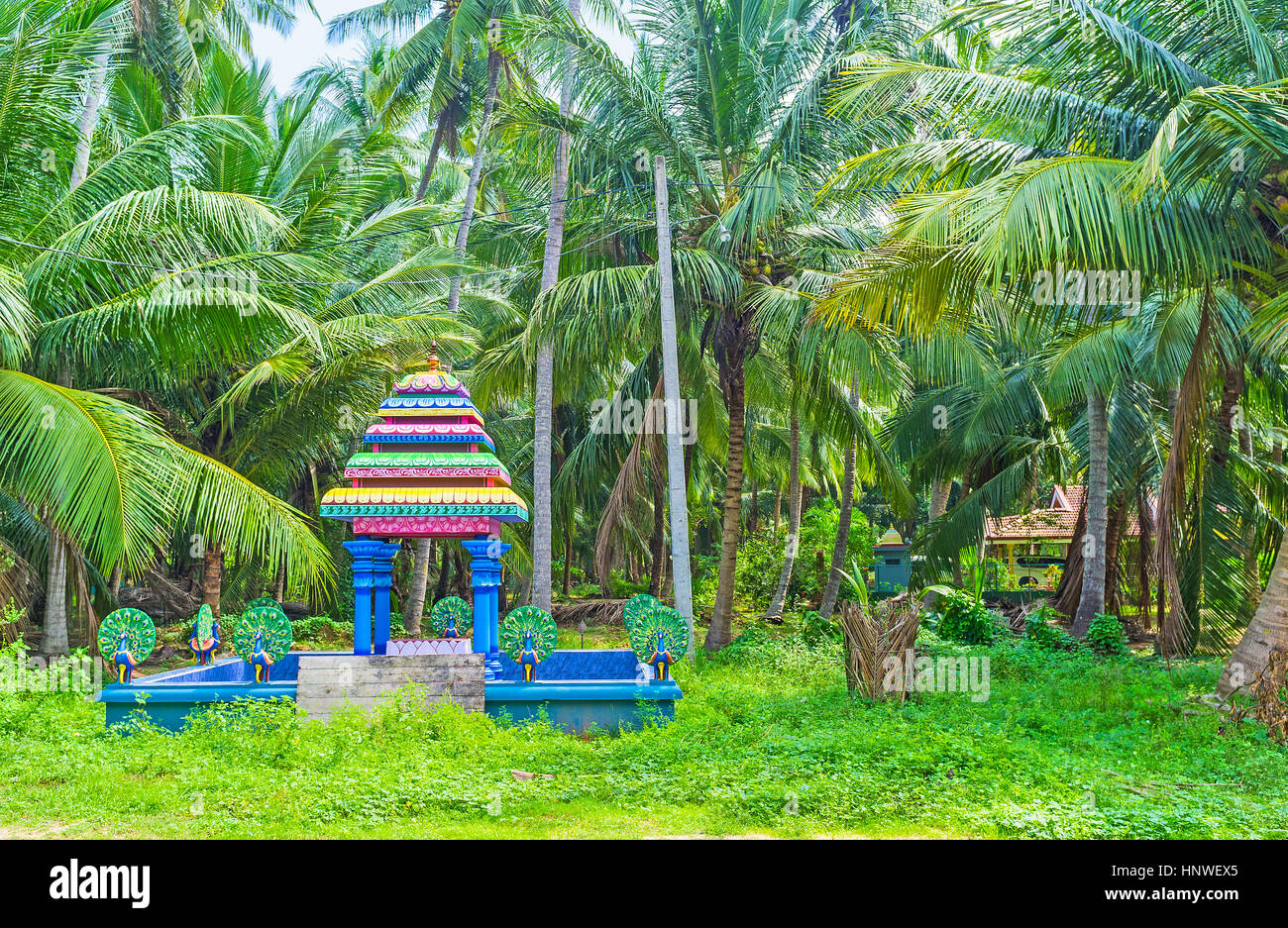 Die bunten Brunnen mit Pfauen (das Fahrzeug von Gott Murugan) im Garten ...