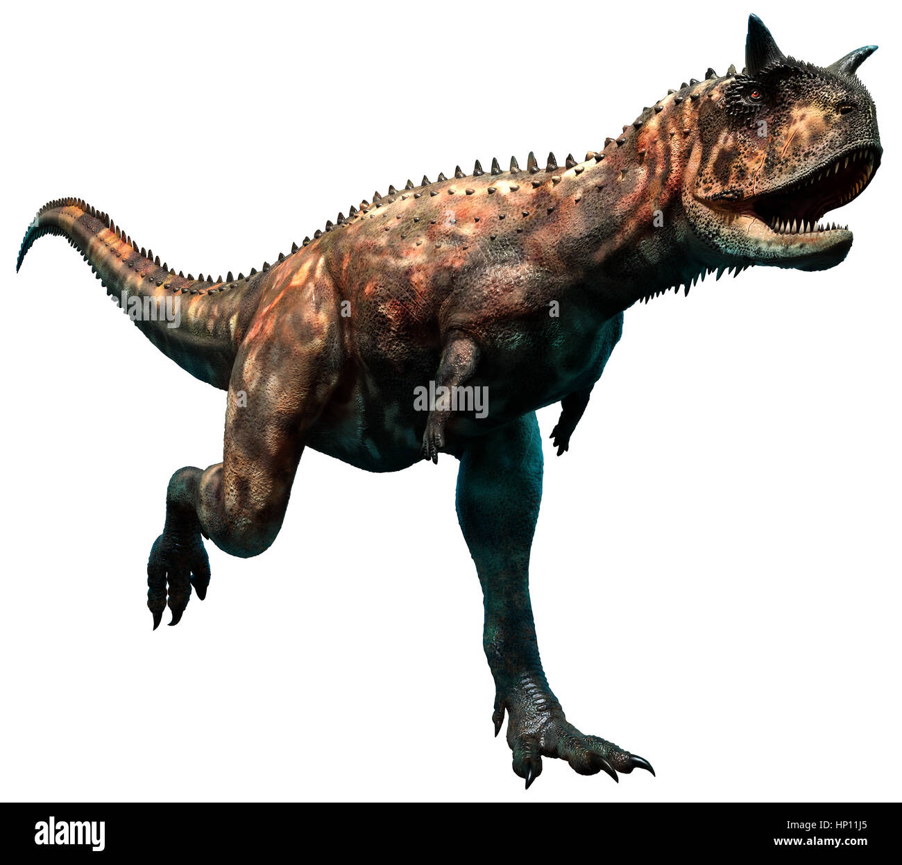 Carnotaurus dinosaur -Fotos und -Bildmaterial in hoher Auflösung – Alamy