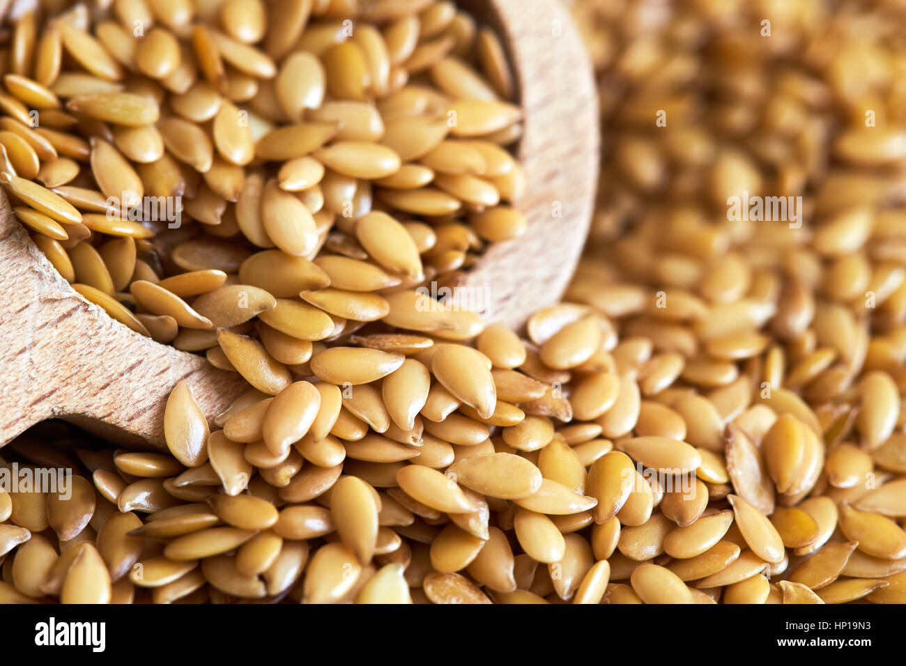 Sesam Ernte Stockfotos und -bilder Kaufen - Alamy