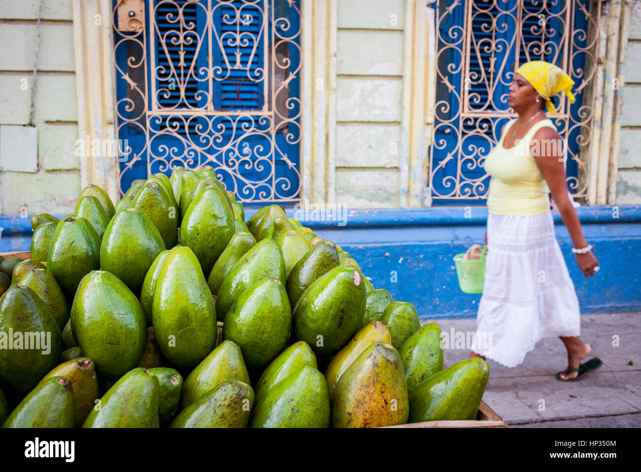 Avocados Stall in Corrales Straße, Centro Habana Bezirk, La Habana ...