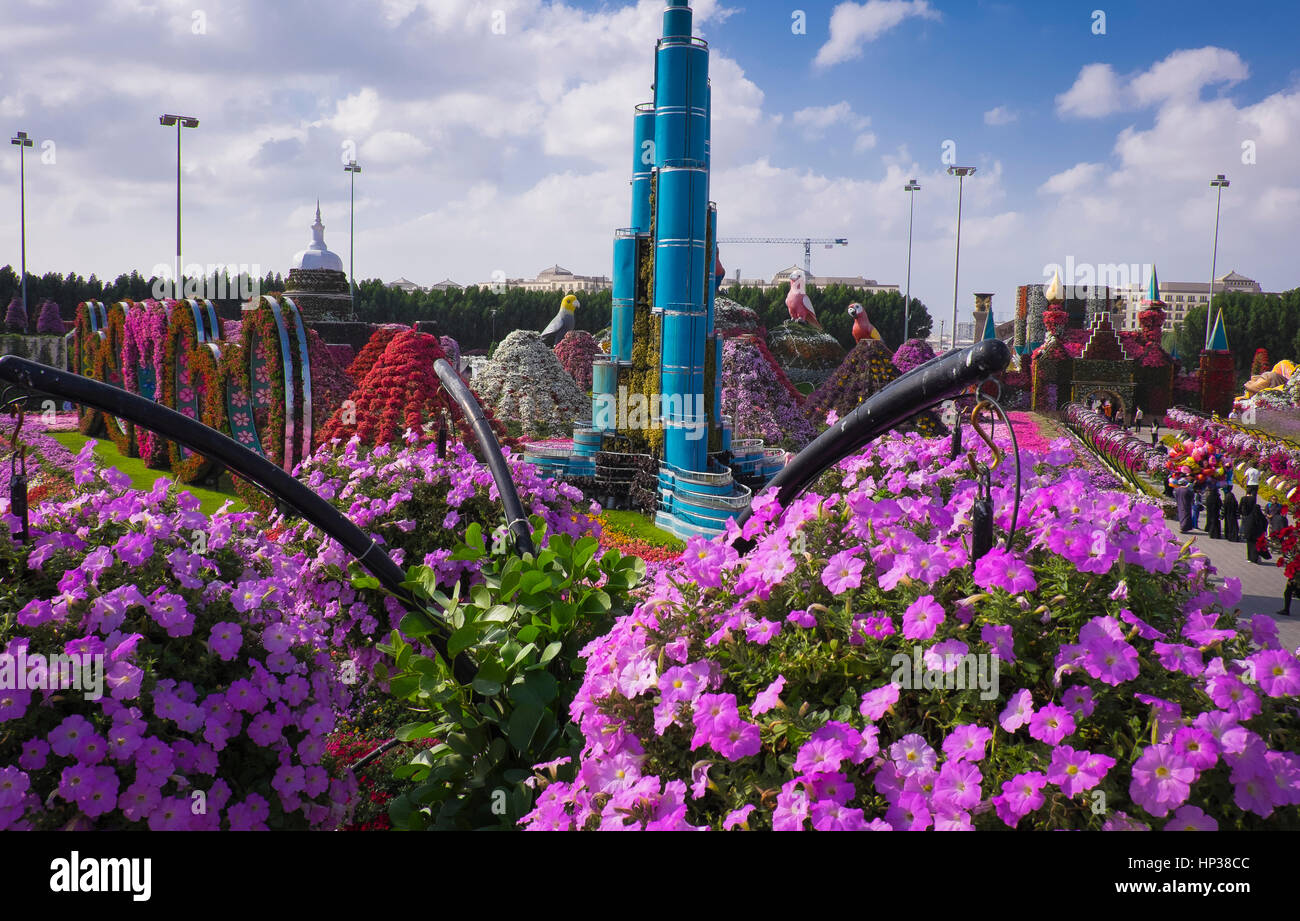 Dubai miracle garden -Fotos und -Bildmaterial in hoher Auflösung – Alamy