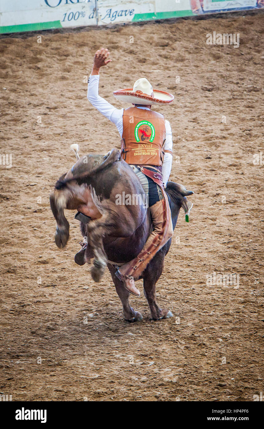 Bull riding mexican rodeo -Fotos und -Bildmaterial in hoher Auflösung ...