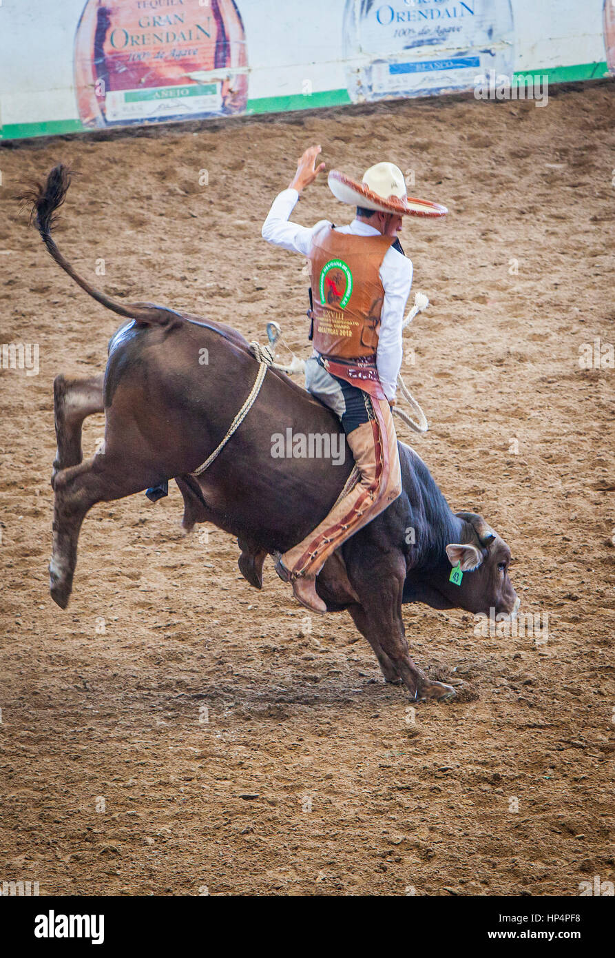 Bull riding mexican rodeo -Fotos und -Bildmaterial in hoher Auflösung ...