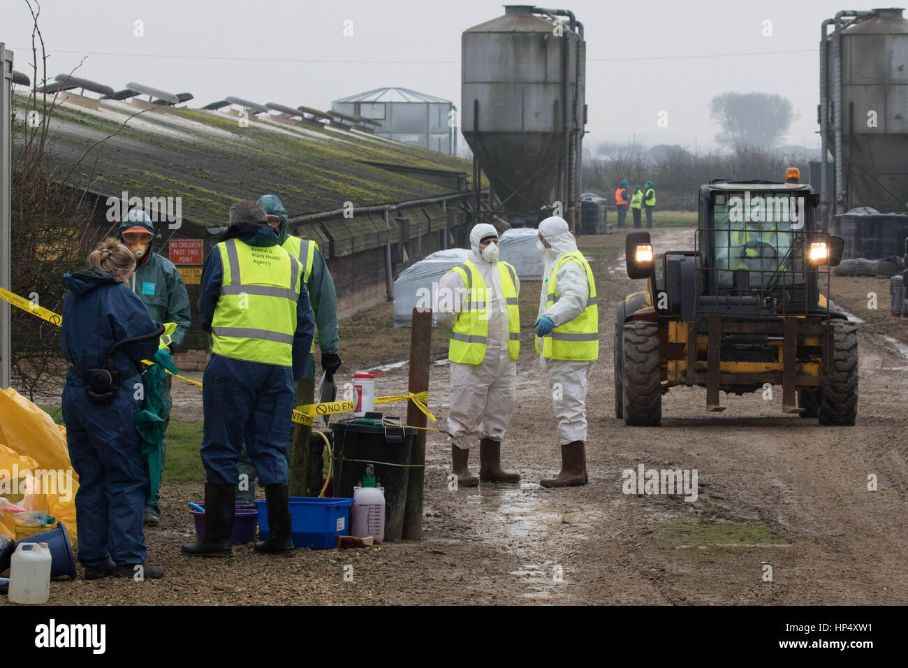 Defra Beamten Umgang mit einem Ausbruch der Vogelgrippe H5N8 in der ... Defra Beamten Umgang mit einem Ausbruch der Vogelgrippe H5N8 in der ...