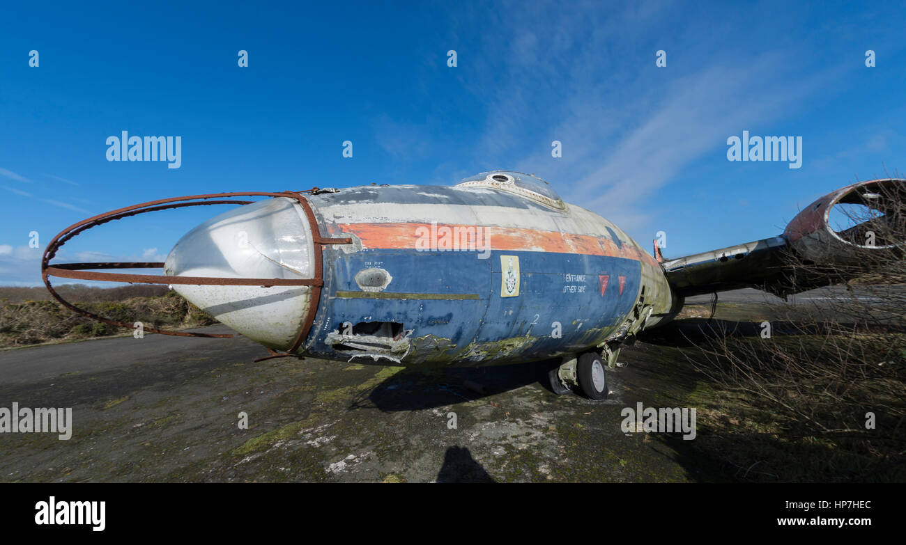 Canberra gras -Fotos und -Bildmaterial in hoher Auflösung – Alamy
