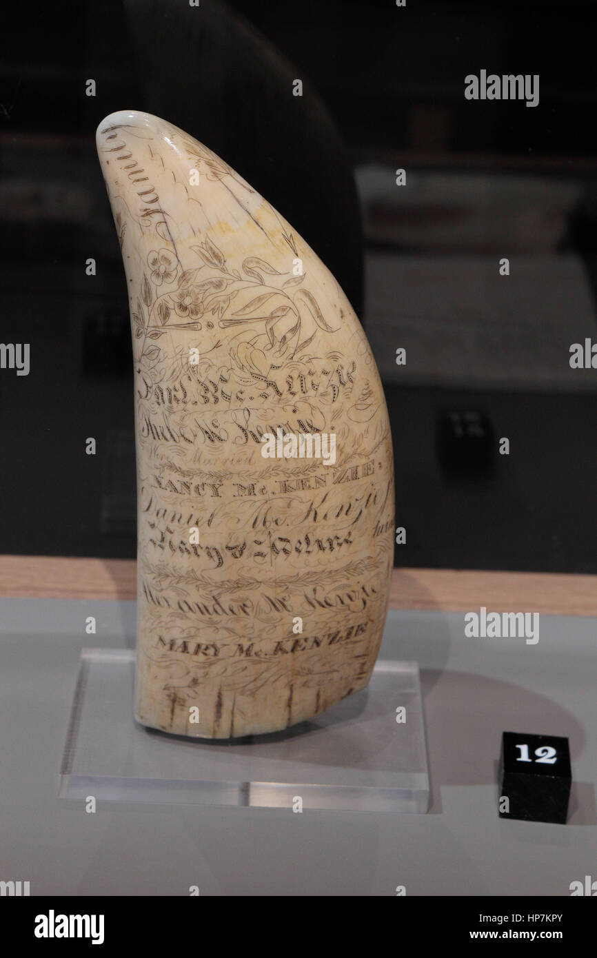 Scrimshaw whale -Fotos und -Bildmaterial in hoher Auflösung – Alamy