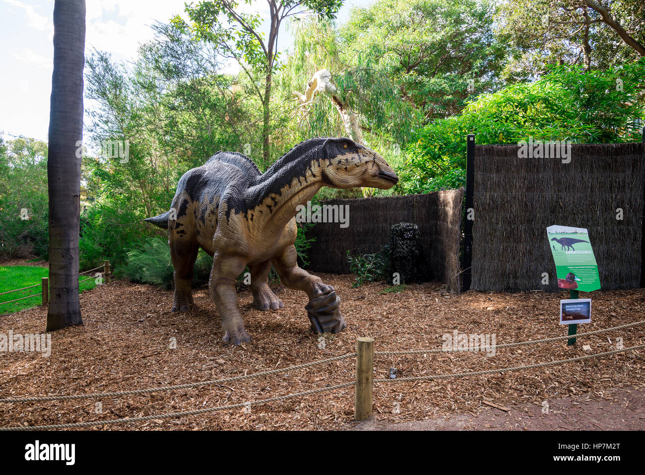 Edmontosaurus dinosaur -Fotos und -Bildmaterial in hoher Auflösung – Alamy
