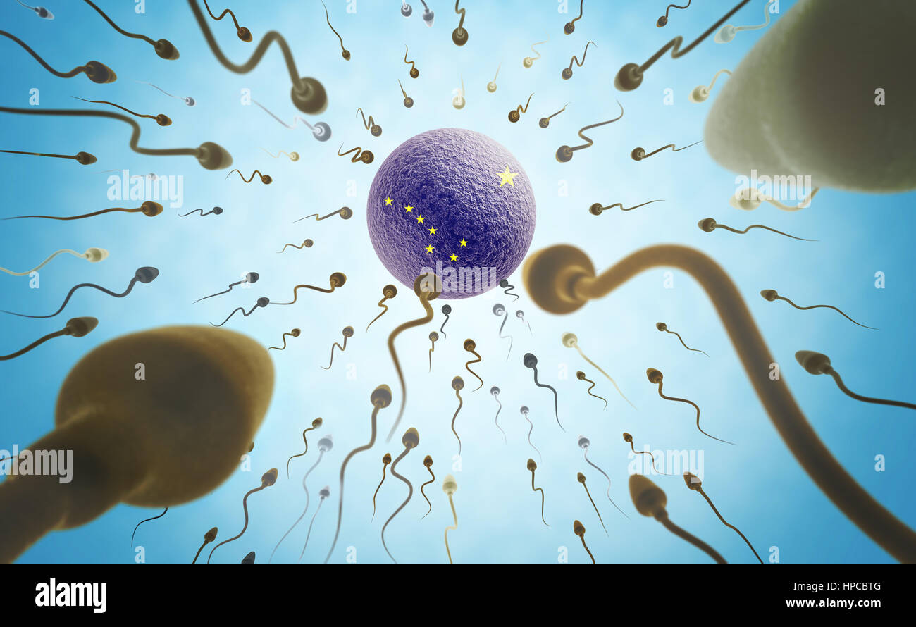 Ovum Human Stockfotos & Ovum Human Bilder - Alamy