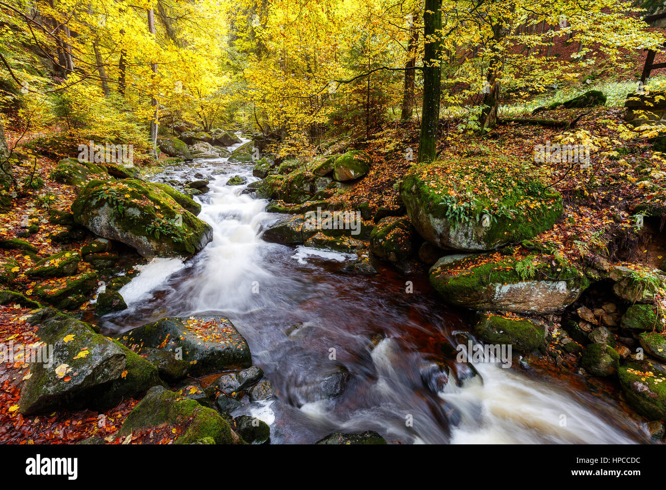 Der Harz ist das höchste Gebirge in Norddeutschland und seiner rauen ...