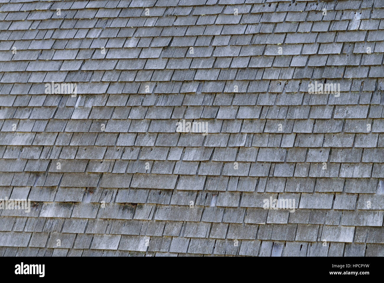 Alte zeder -Fotos und -Bildmaterial in hoher Auflösung - Seite 2 - Alamy