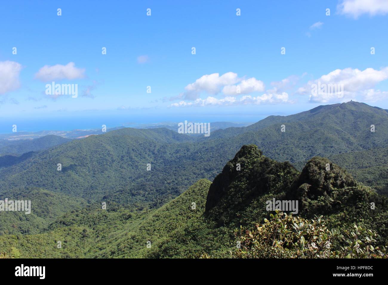 El yunque national forest -Fotos und -Bildmaterial in hoher Auflösung ...