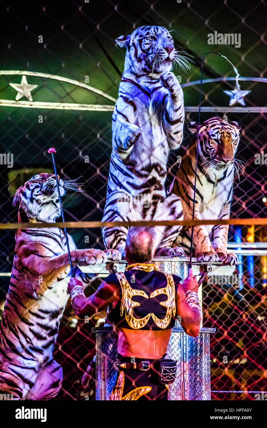 Cole Brothers Circus. Letzte Saison vor dem schließen Stockfotografie ...