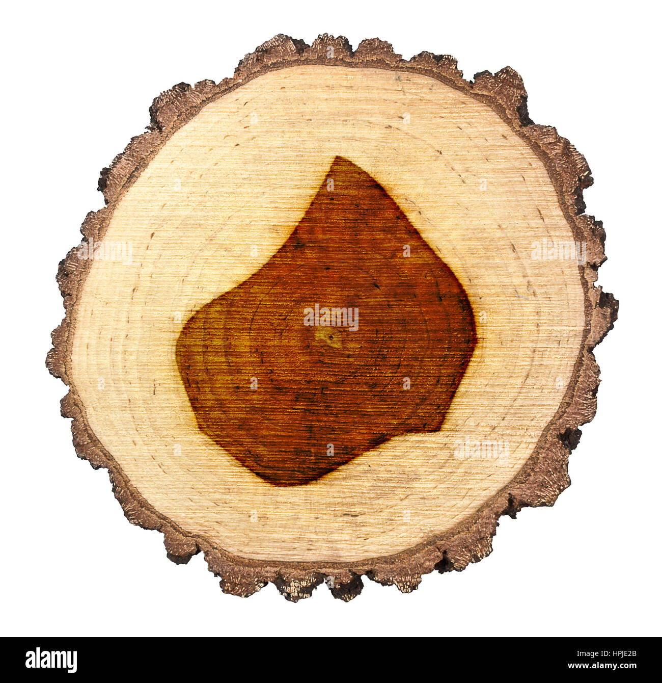 Brandrodung afrika regenwald -Fotos und -Bildmaterial in hoher ...